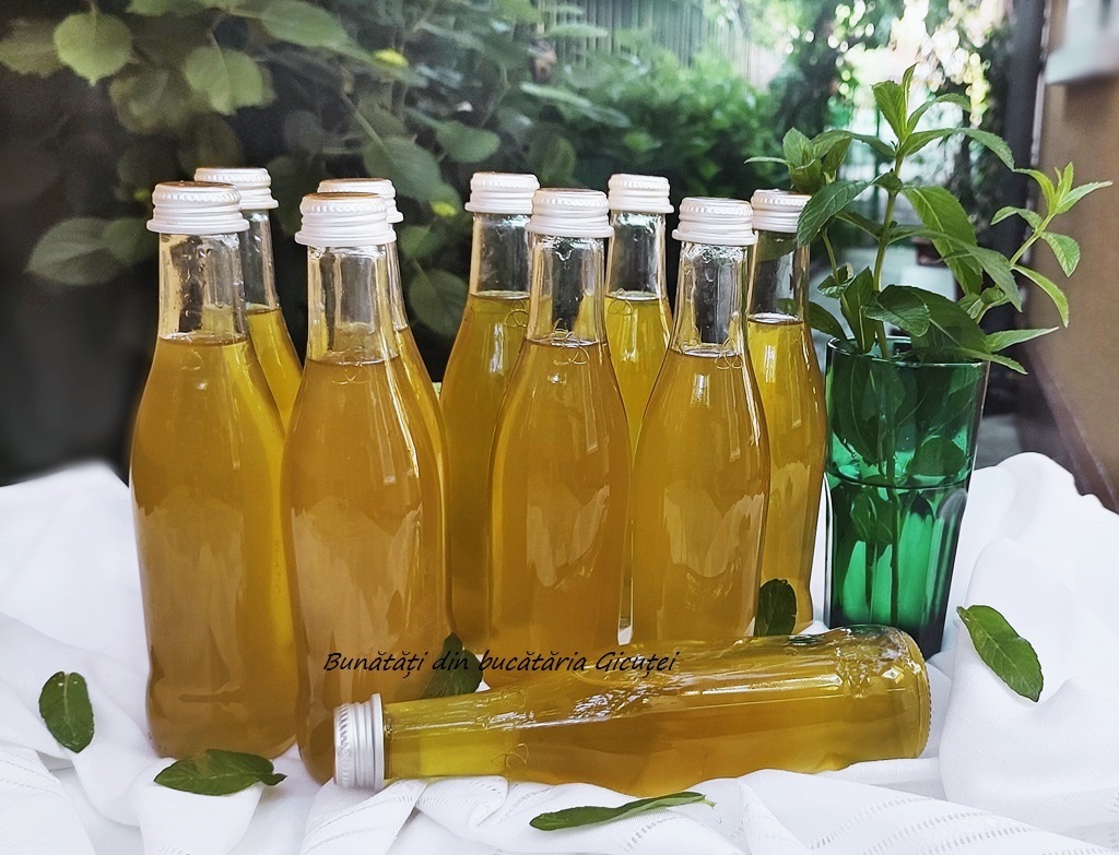 Sirop de menta – Bucătăria Gicuței