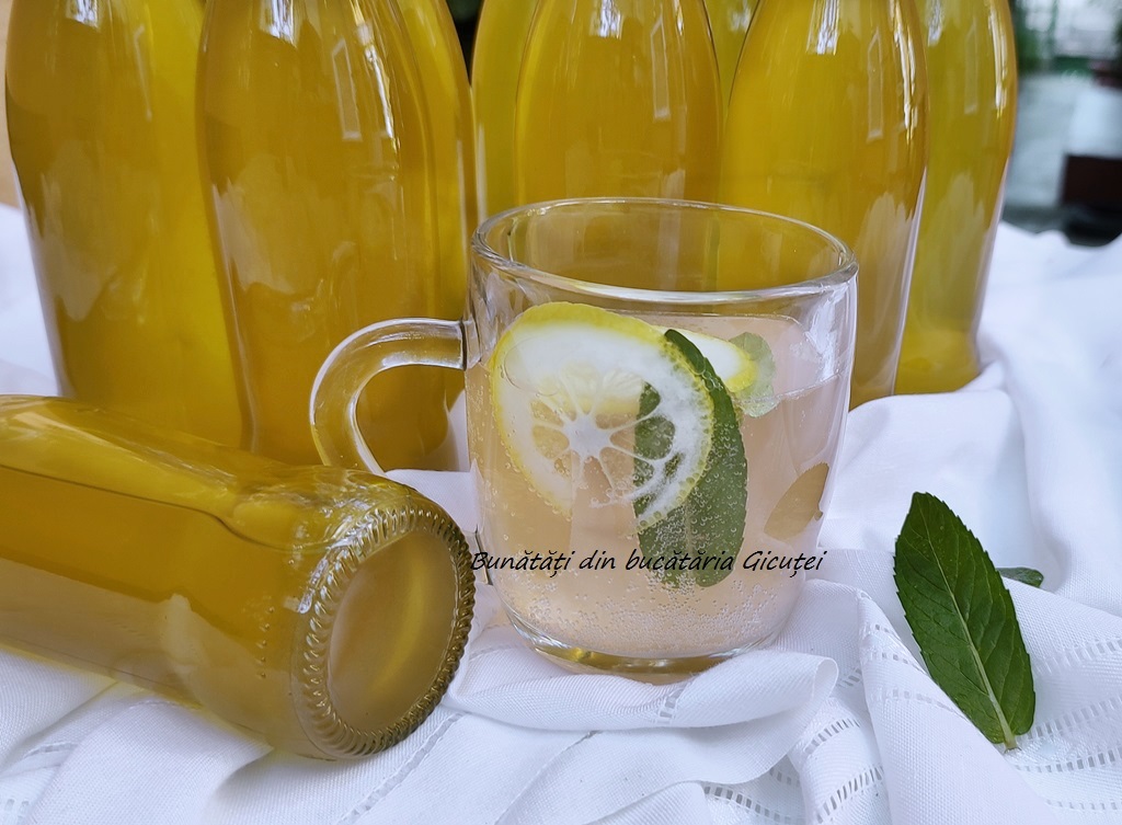 Sirop de menta – Bucătăria Gicuței